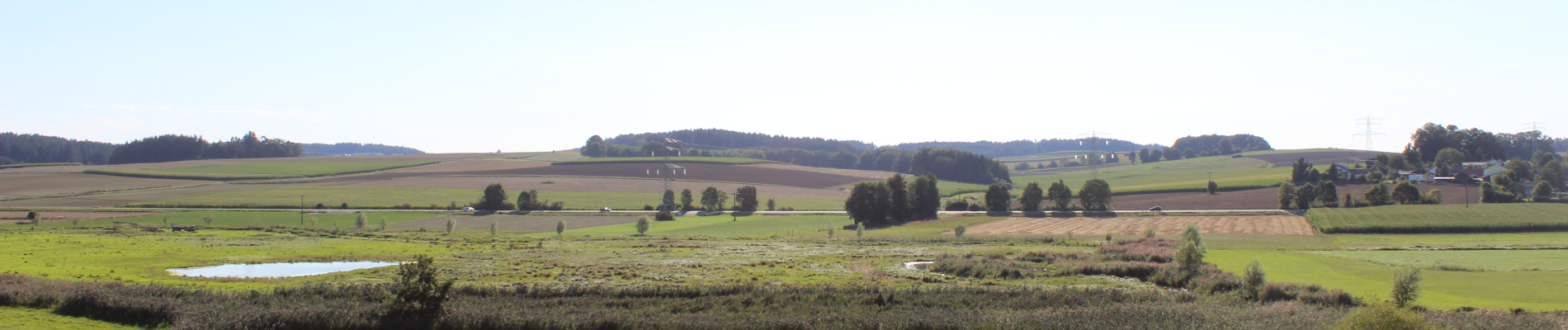 Aktuelles - Christliche Wähler Stadt & Umland (CWSU)