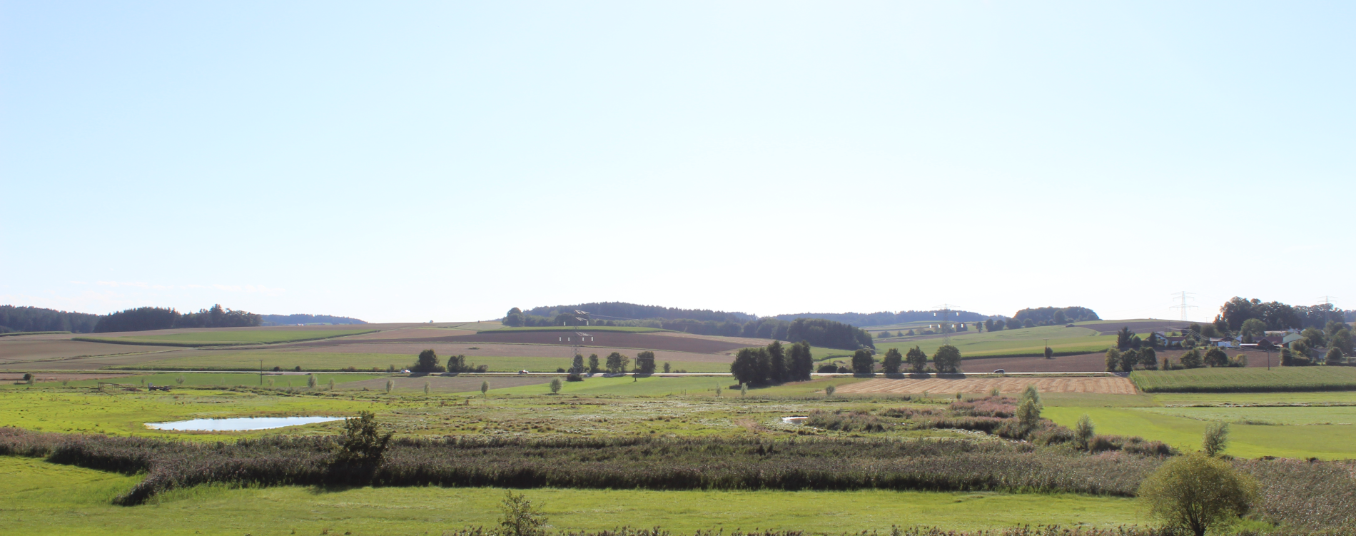 Home - Christliche Wähler Stadt & Umland (CWSU)