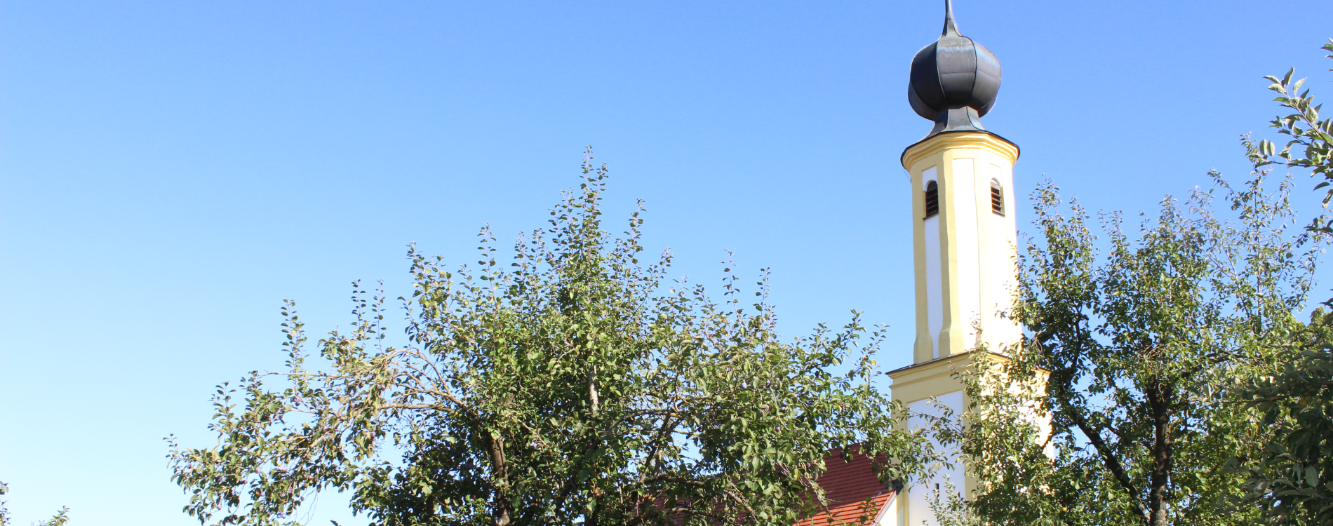 Home - Christliche Wähler Stadt & Umland (CWSU)